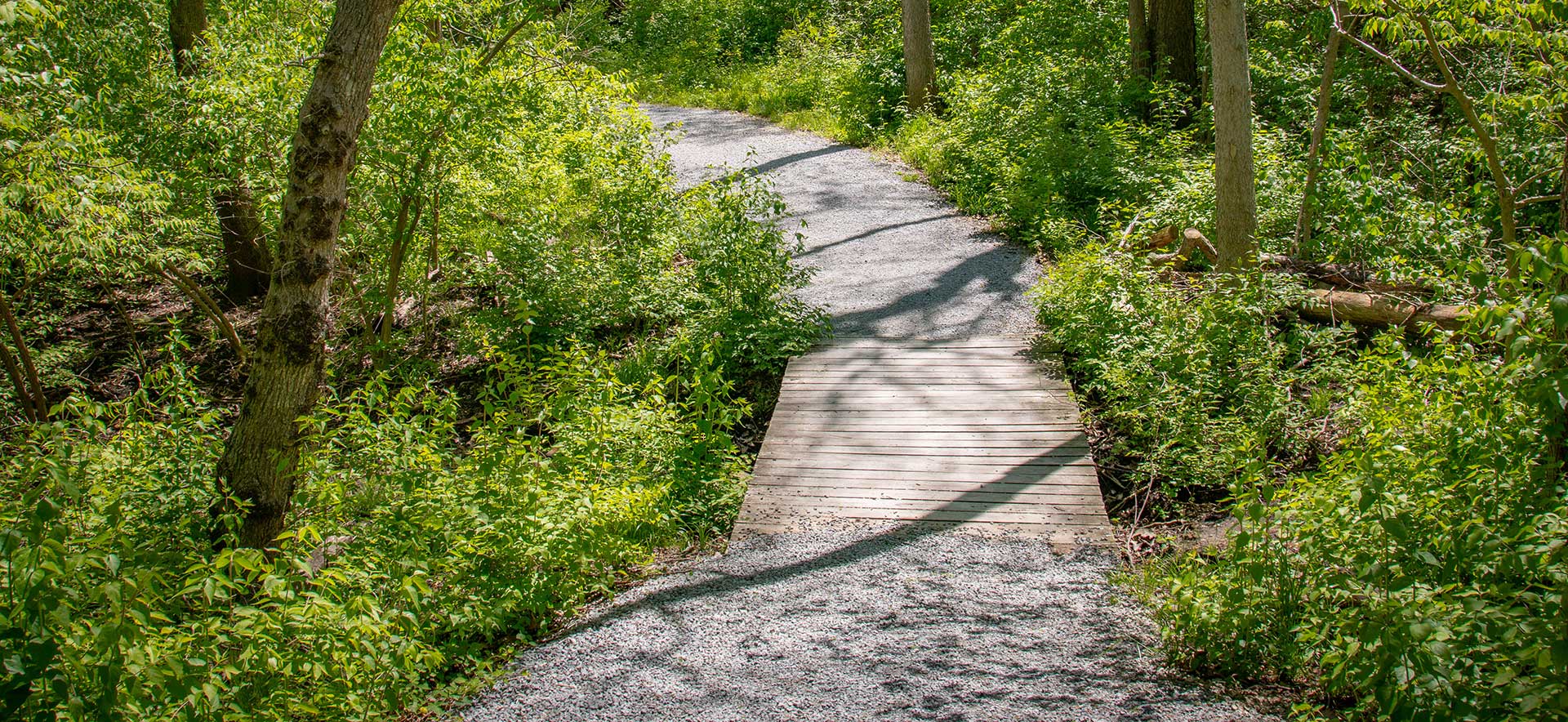 Nature Trail | Unity Village