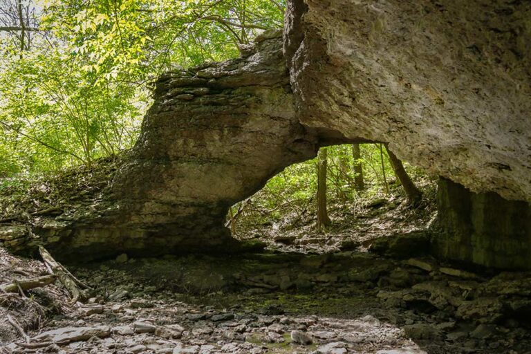 Nature Trail | Unity Village